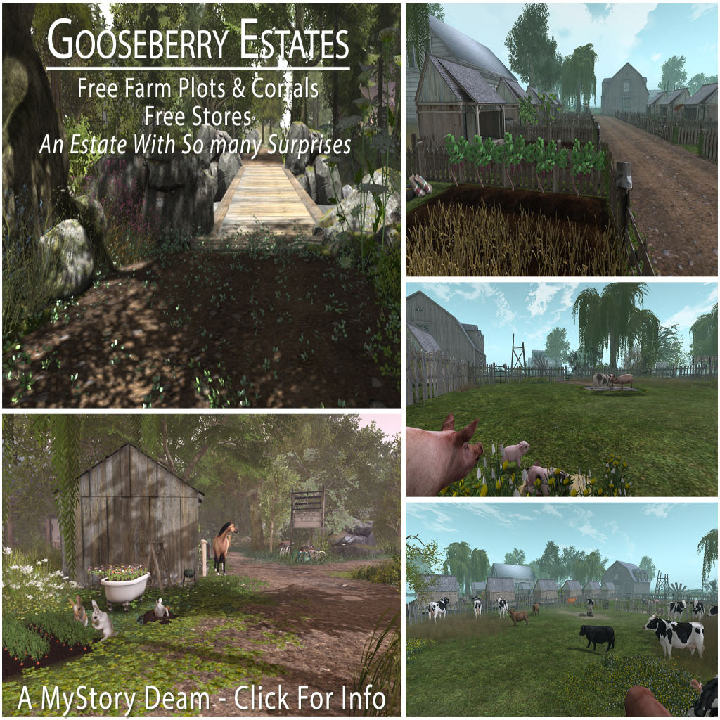 Affiliates – MyStory